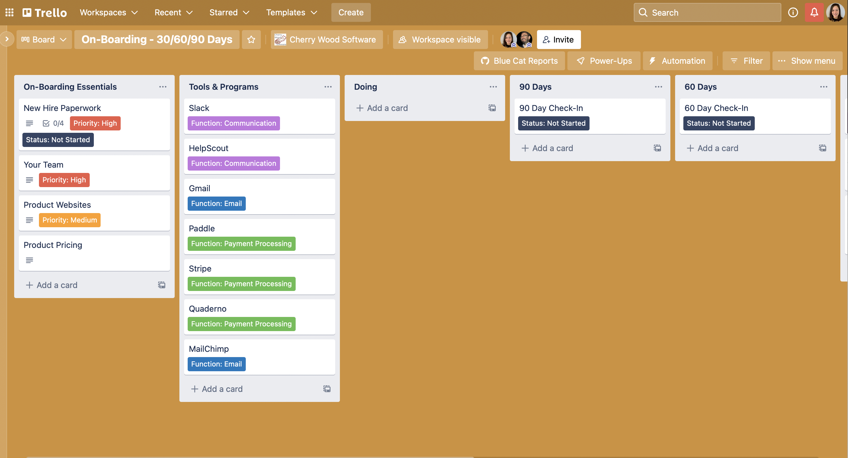 Blue Cat Reports for On-Boarding and Team Learning - Blue Cat Reports